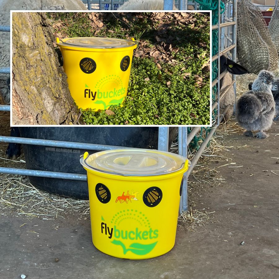 Trappole per mosche, vespe e calabroni - Badifarm